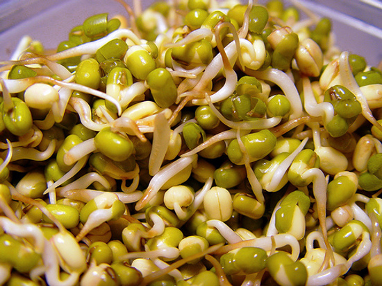 Stackable Sprout Garden | Food Renegade