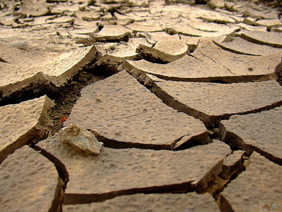 The Soil Crisis And The Problem Solvers | Food Renegade