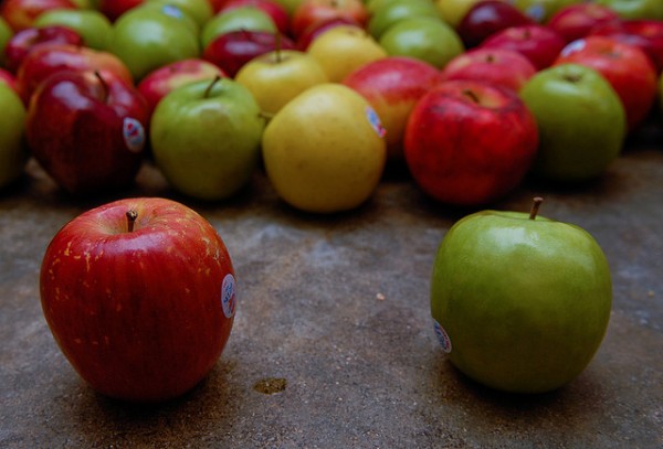 Your Apples Are A Year Old | Food Renegade