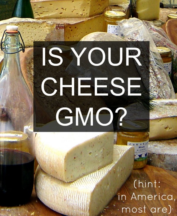 Is Your Cheese Made With GMOs? | Food Renegade